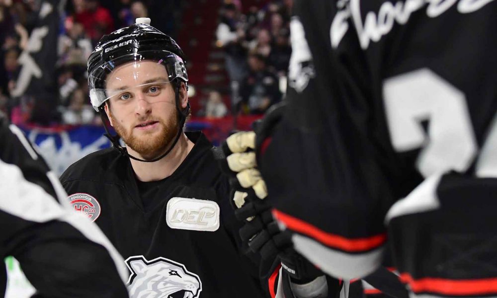 Nürnberg Ice Tigers holen Dane Fox zurück. – ISPFD // IPD