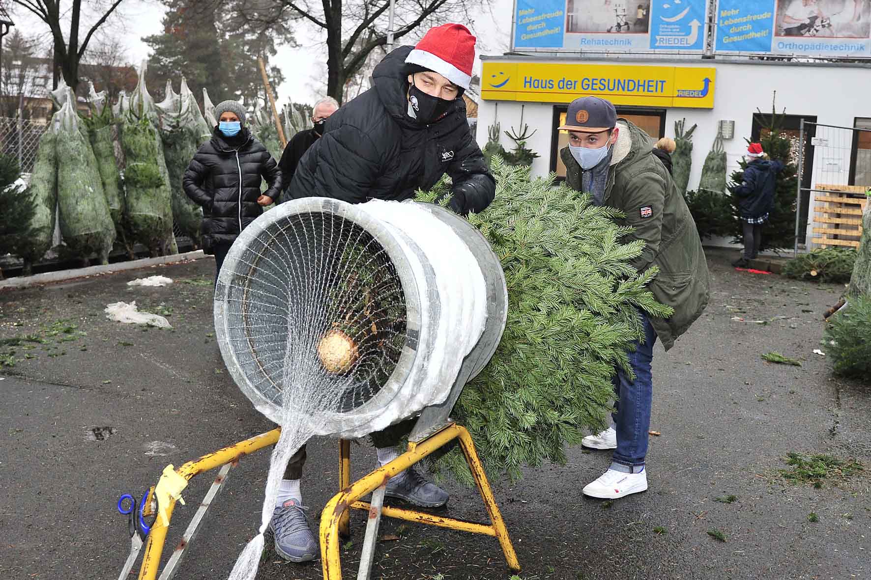 Basketball: Nürnberg Falcons verkaufen Weihnachtsbäume – ISPFD // IPD